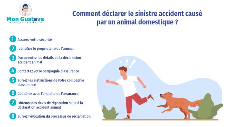 Déclaration de sinistre accident causé par animal domestique